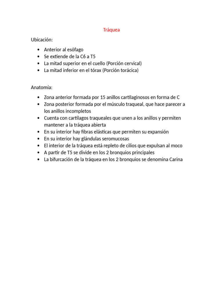 Tráquea | PDF