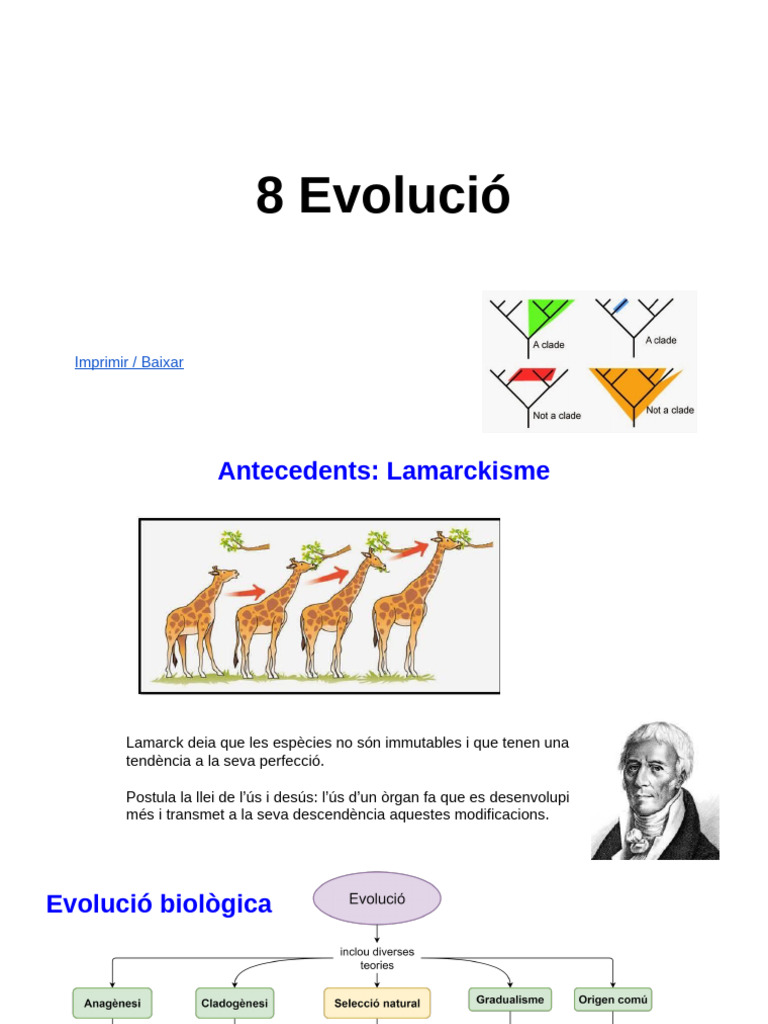 Evolució (LOMLOE) | PDF