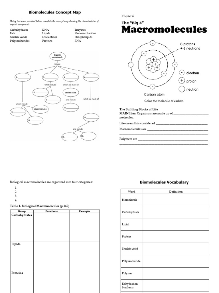 Biomolecules Concept Map Overview | PDF | Macromolecules | Biomolecules