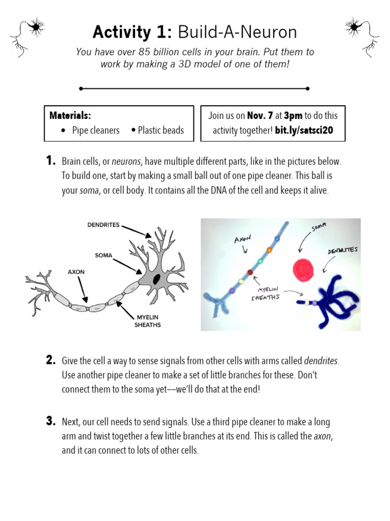 1 Build-A-Neuron guide | PDF