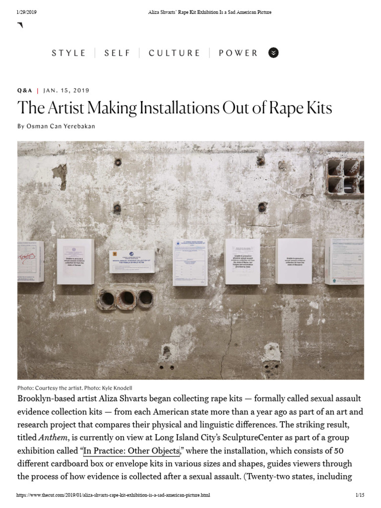 Aliza Shvarts' Rape Kit Exhibition Is A Sad American Picture | PDF ...