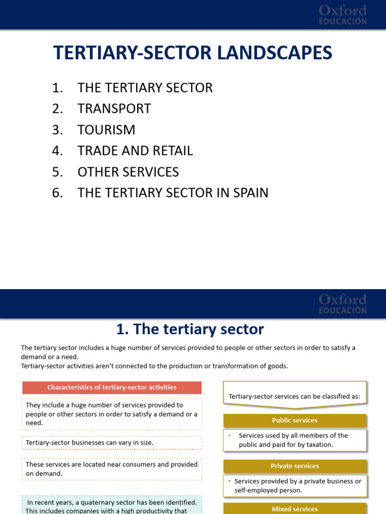 Overview of the Tertiary Sector Services | PDF | Transport | Tourism