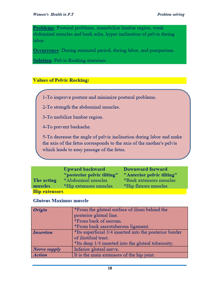 6 - Pelvic Rocking Exercises | PDF | Pelvis | Abdomen