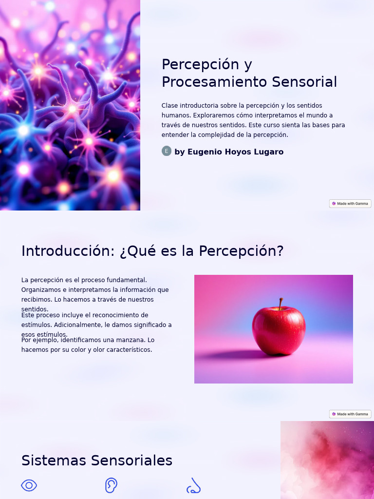 Percepcion y Procesamiento Sensorial | PDF | Sentidos | Percepción