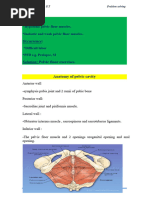 6 - Pelvic Rocking Exercises | PDF | Pelvis | Abdomen