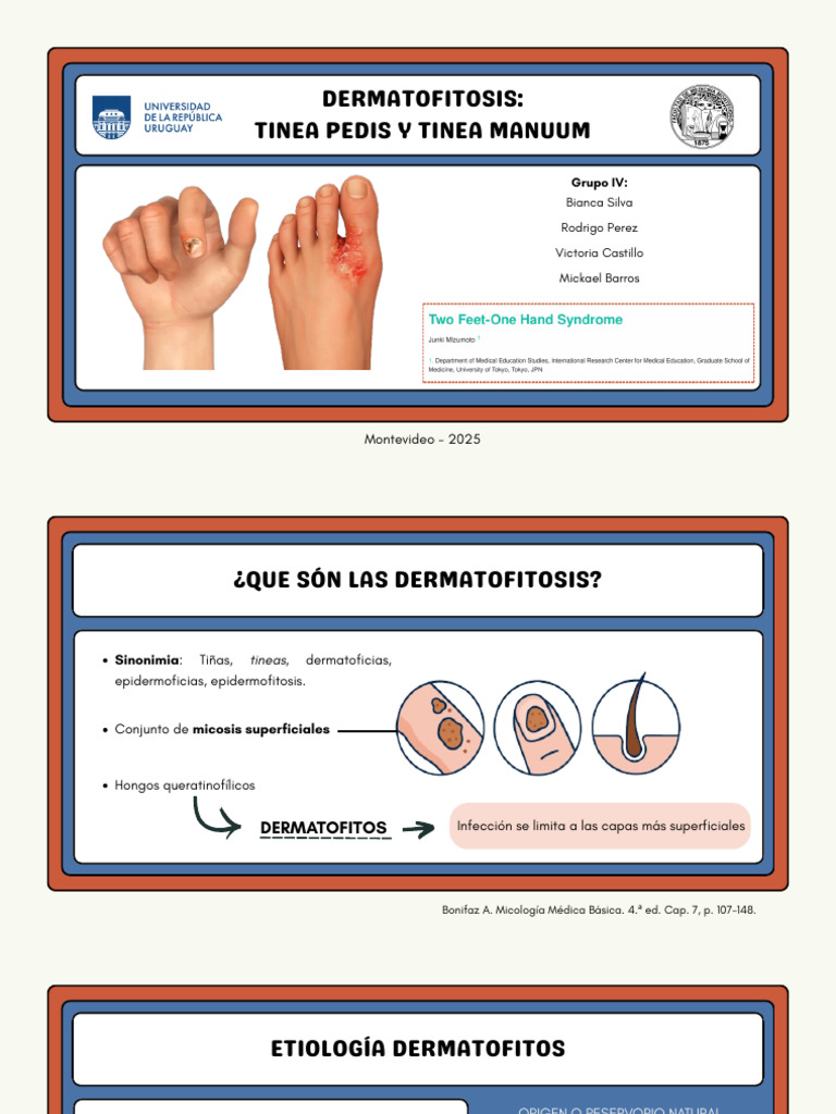 presentación dermatofitos | PDF | Enfermedades animales | Condiciones ...