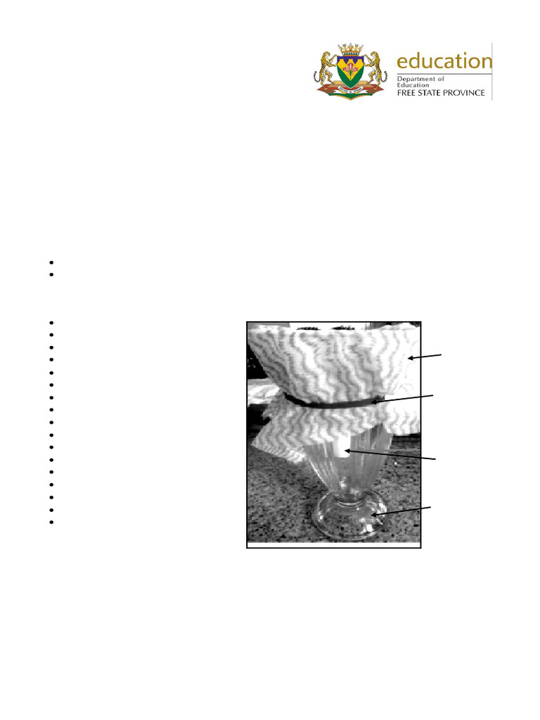 Grade 12 Life Sciences Practical 1 Feb 2019 ENG 1568737558 | PDF ...