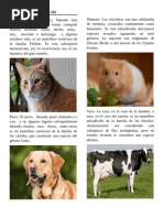 Animales en Latín y Griego | PDF