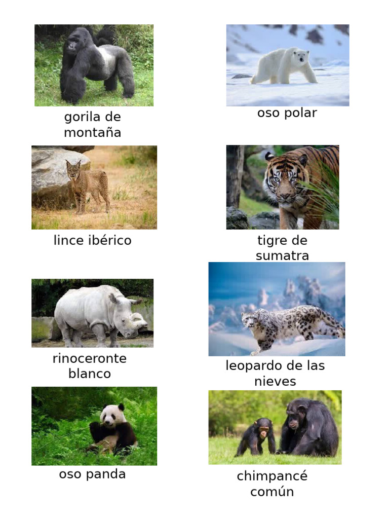 TL animales en peligro de extincion | PDF