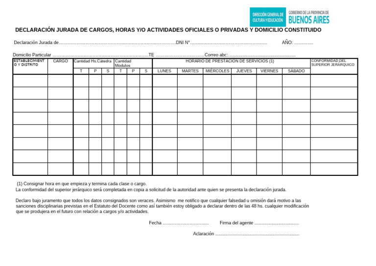 Declaracion Jurada de Cargos 2023 en blanco | PDF
