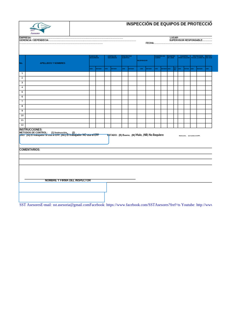 Formato Inspeccion de EPP | PDF