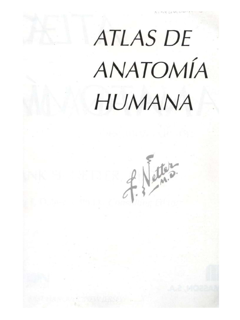Atlas Netter | PDF