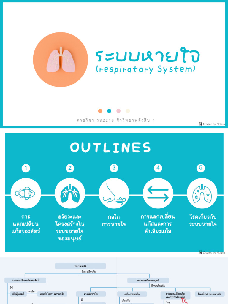 01 PPT Respiratory System | PDF