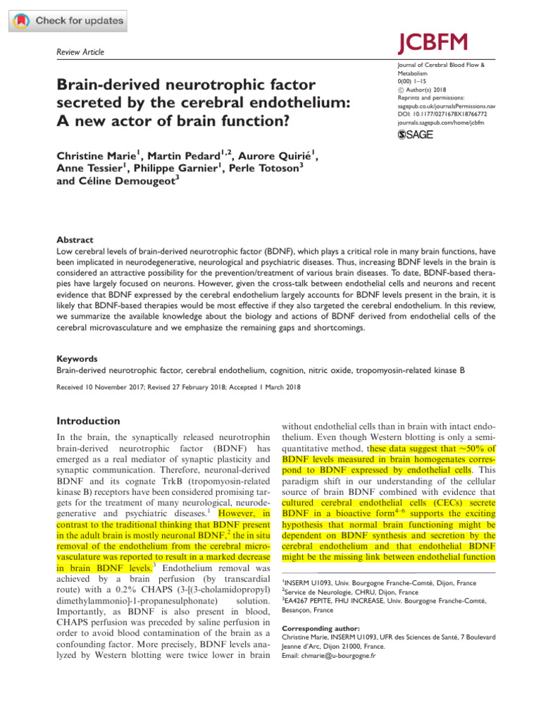 Brain-Derived Neurotrophic Factor Secreted by The Cerebral Endothelium ...