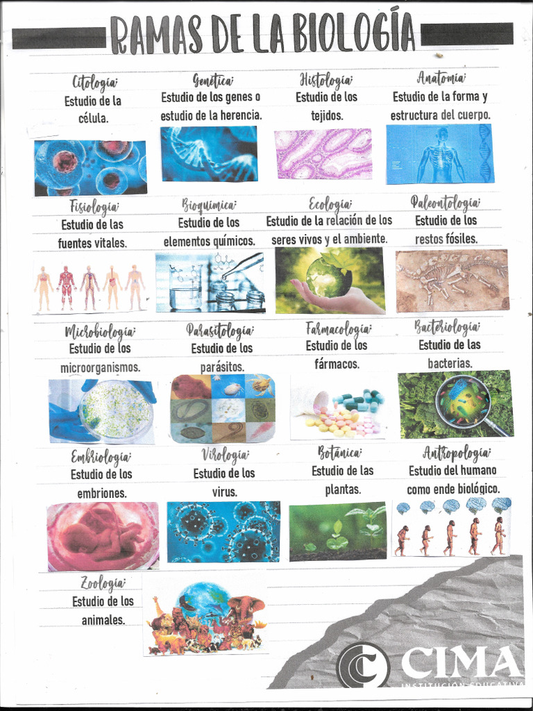 Ramas de La Biología | PDF