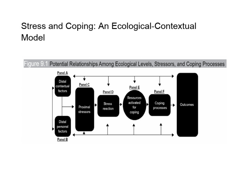 Stress and Coping - An Ecological-Contextual Model | PDF