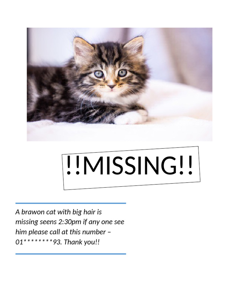 Cat Missing Poster | PDF
