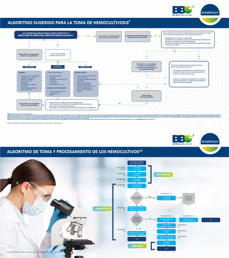 Algoritmos BBC | PDF