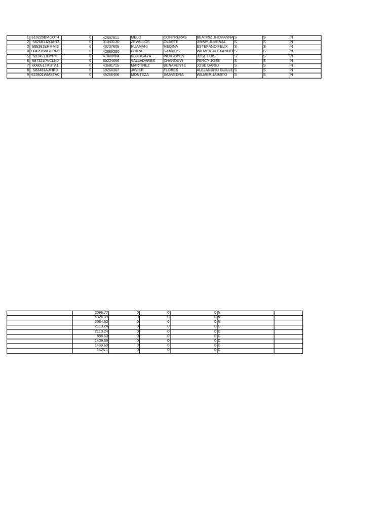 Planilla Unica Ejemplo | PDF