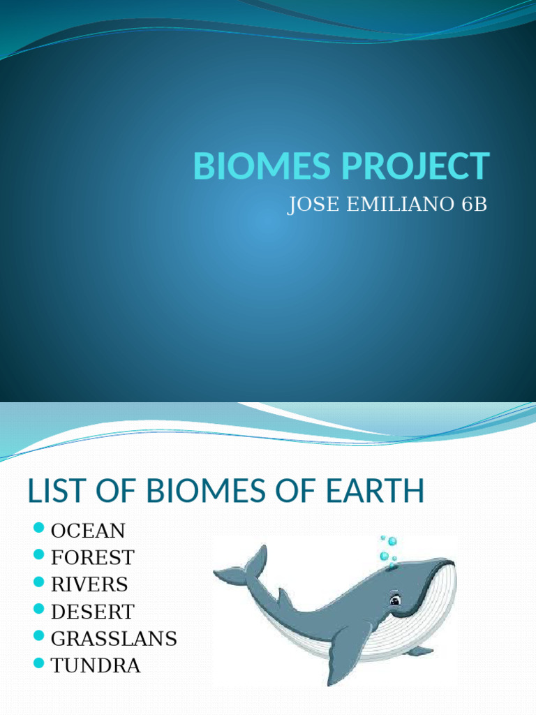 Biomes Project | PDF