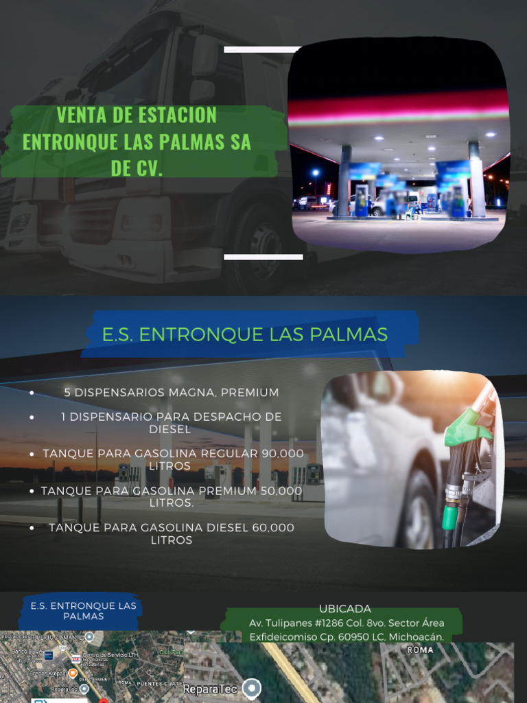 Vta E.S. Entronque Las Palmas Sa de Cv. Ene 2025 | PDF