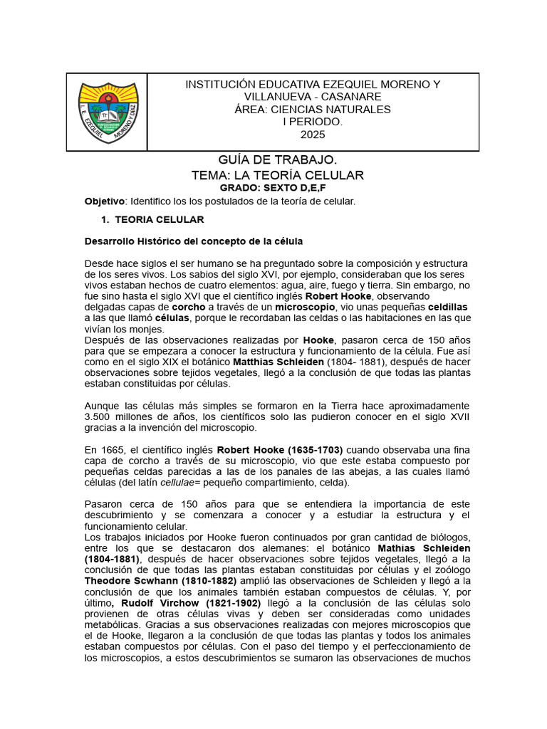 Mapa Conceptual de la Teoría Celular | PDF | Biología Celular) | Organismos