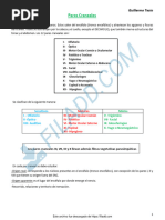Miotomas - Definición y Pruebas - Kenhub | PDF | Codo | Neuroanatomía