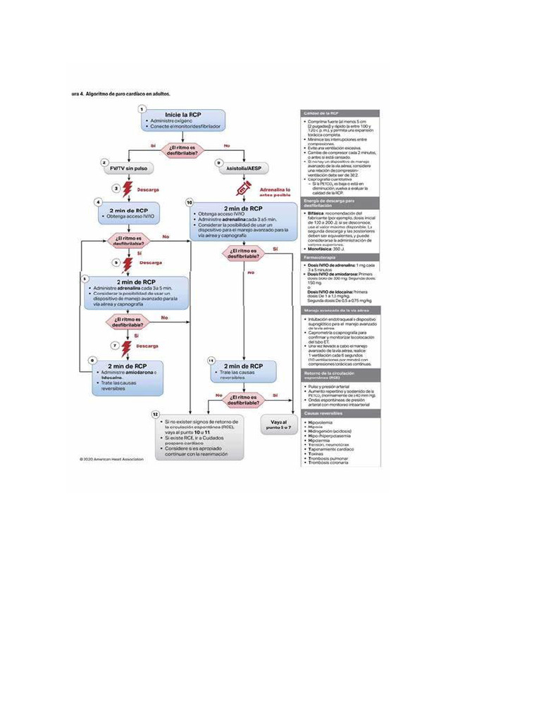 Algoritmos de Ritmo de Paro | PDF