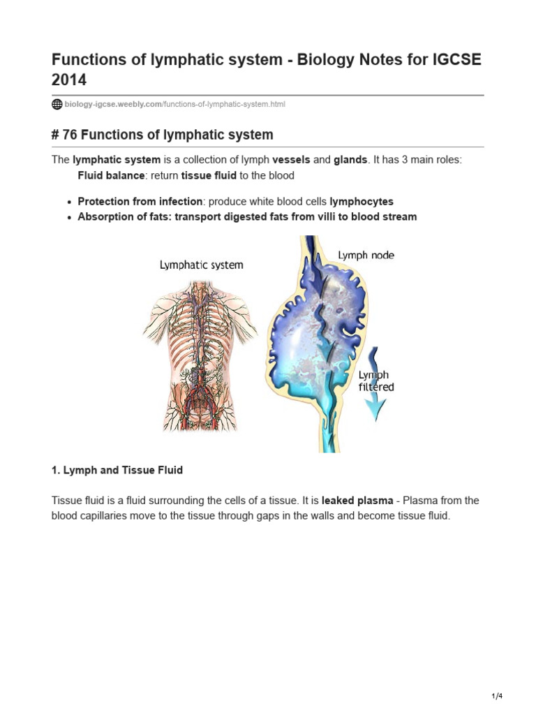 Biology Notes For IGCSE 2014 | PDF | Lymphatic System | Small Intestine