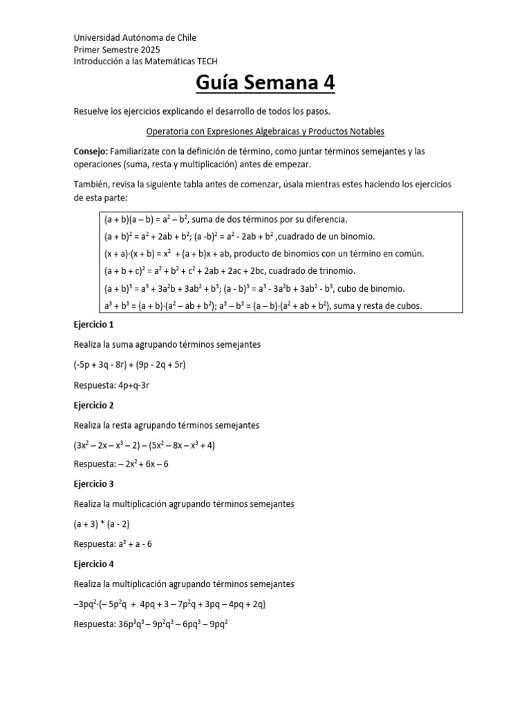Guia intro a las Matematicas | PDF | Factorización | Pascal (Unidad)