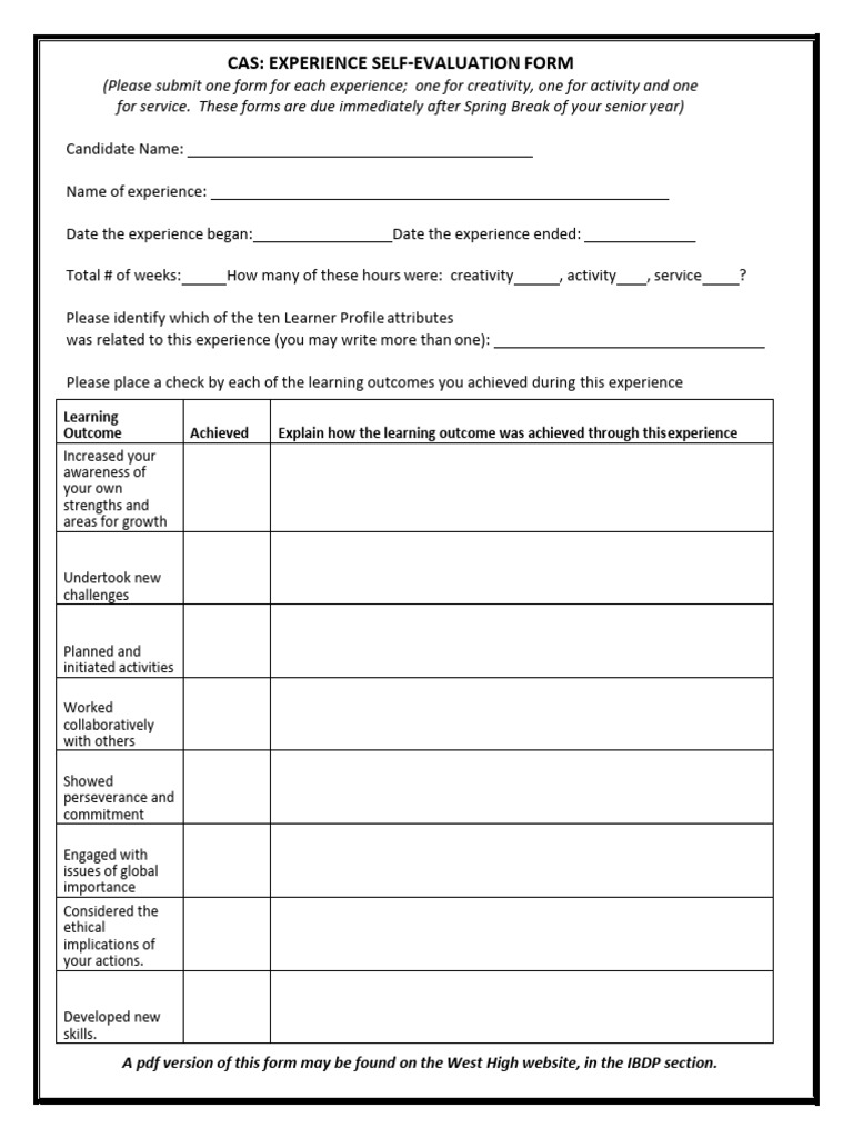 Self Evaluation For Performance Review Examples | PDF