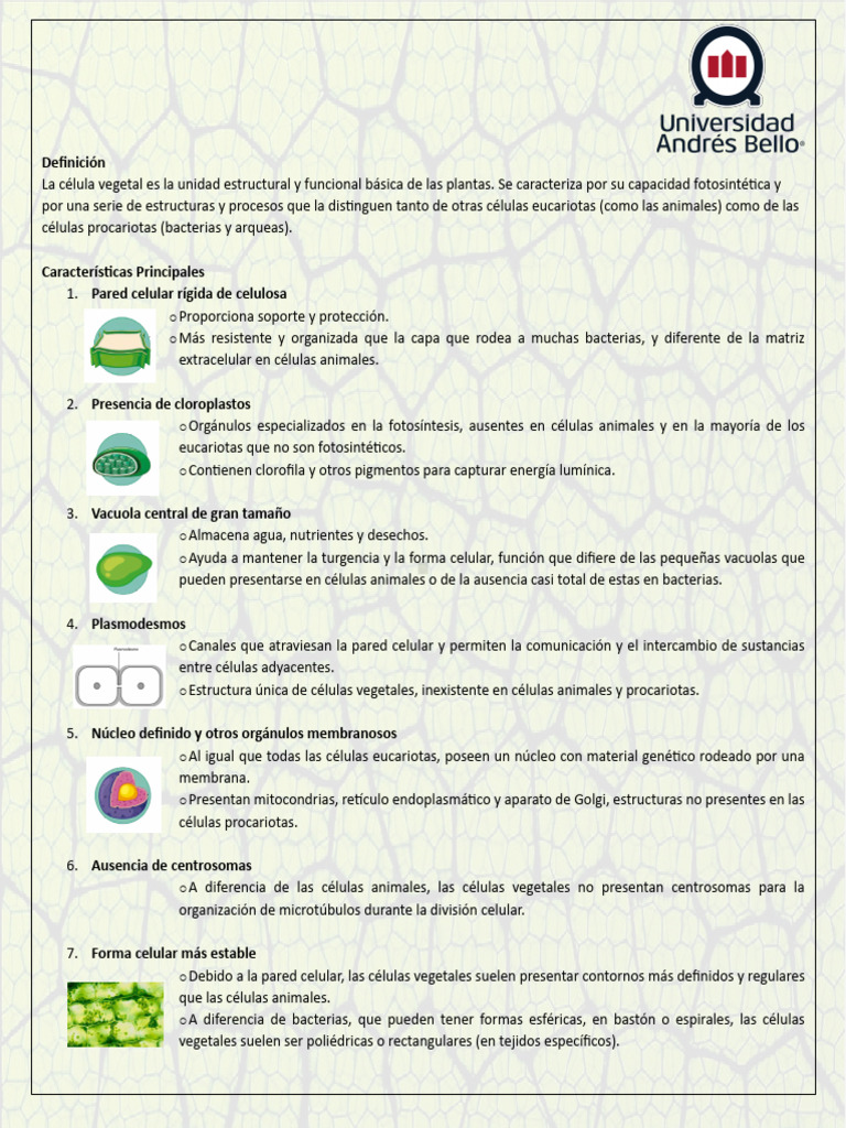 Celula Vegetal Final - Removed | PDF