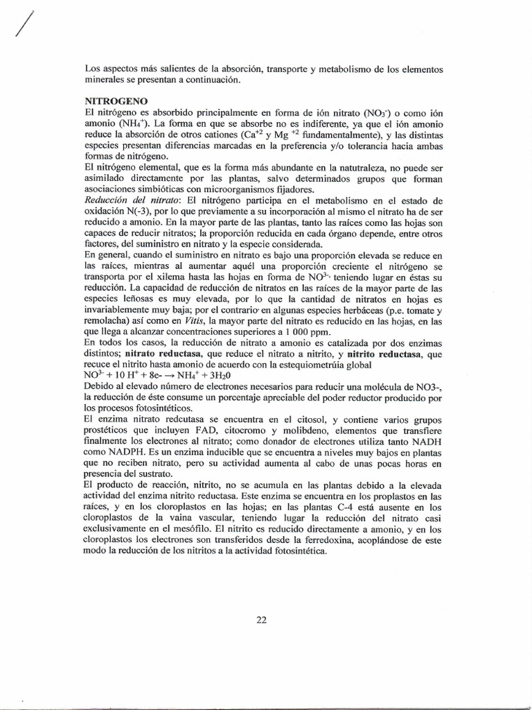 SEPARATA N°2 - BIOLOGÍA VEGETAL | PDF