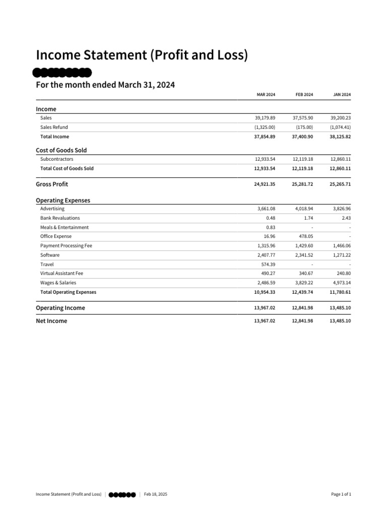 Byte Labs LLC March 2024 Income Statement | PDF