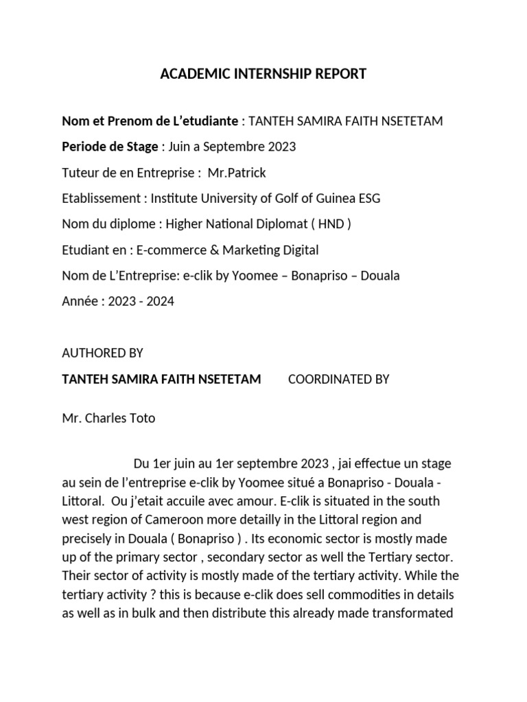 Academic Internship Report | PDF | Marketing | Economies