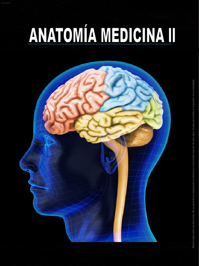 wuolah-free-TEMA 1- SNV | PDF | Nervio | Neurona