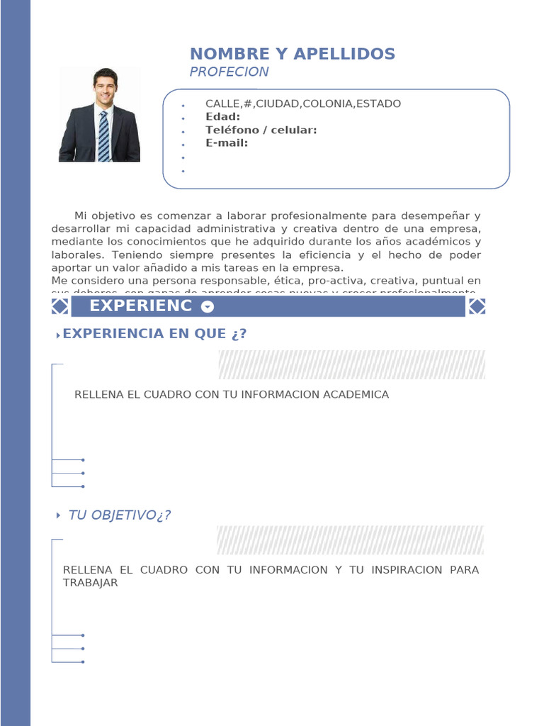 Formato para Llenar Un CV (Curriculum) Formal | PDF