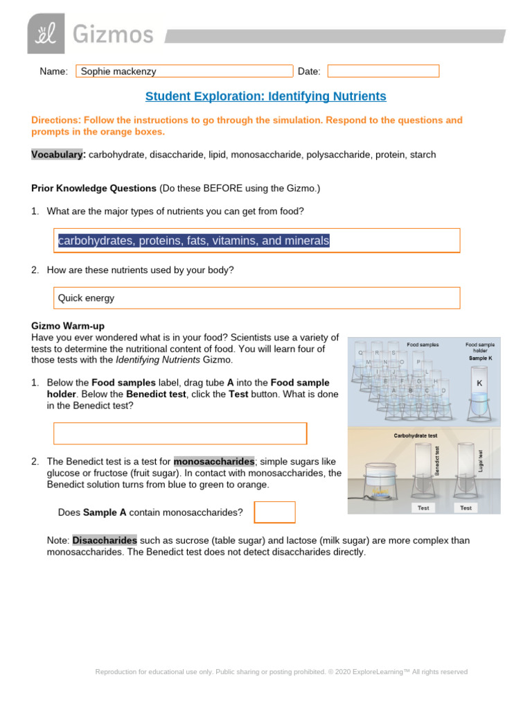 Gizmo - Identifying - Nutrients 2 | PDF | Carbohydrates | Foods