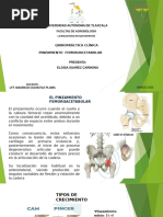 Articulación Coxofemoral Cuadro Integrador | PDF | Rodilla | Cadera