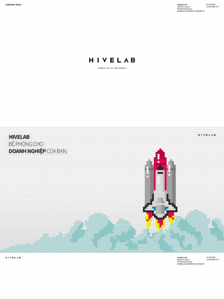 Hivelab Vina Company.brief VN | PDF