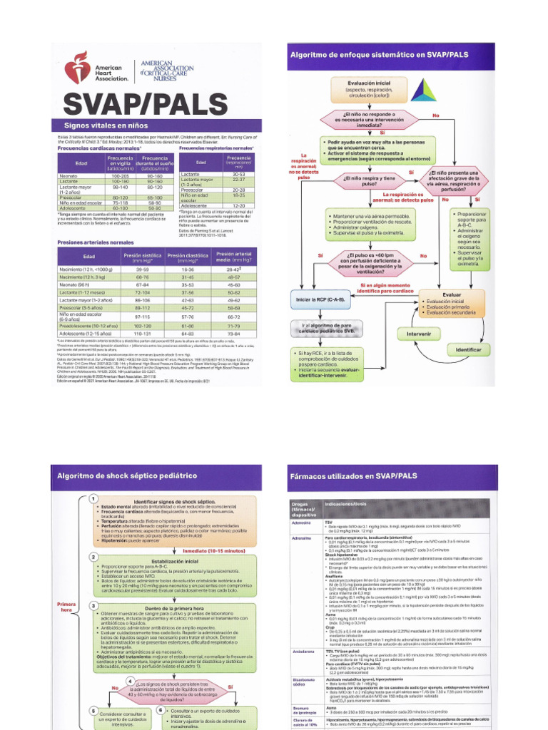 Tarjeta PALS 2020 | PDF