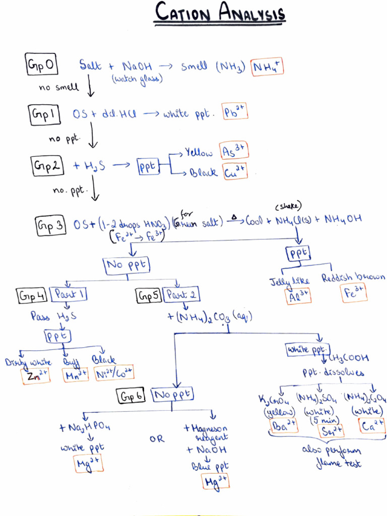Cation Analysis Dec 02, 2022 | PDF