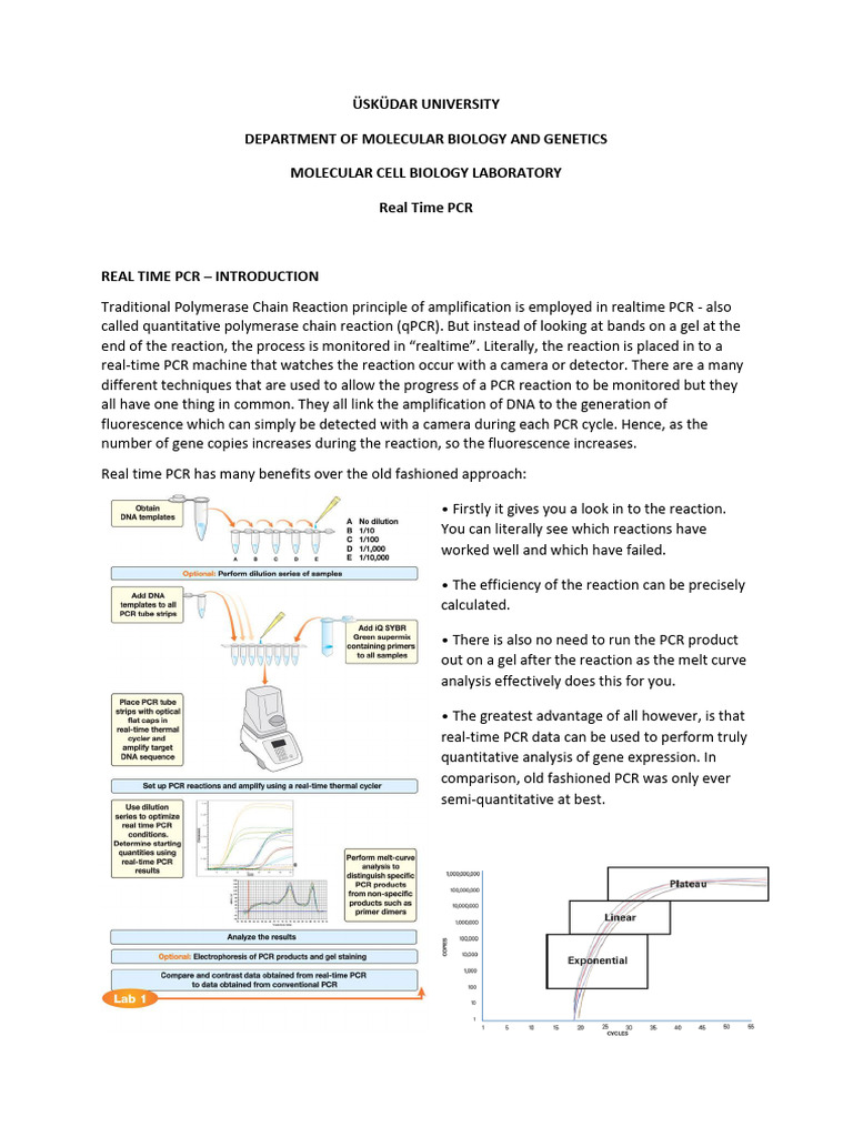 Experiment 4 Real Time PCR | PDF | Polymerase Chain Reaction | Real ...