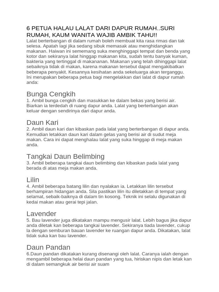 Petua Halau Lalat di Dapur Rumah | PDF