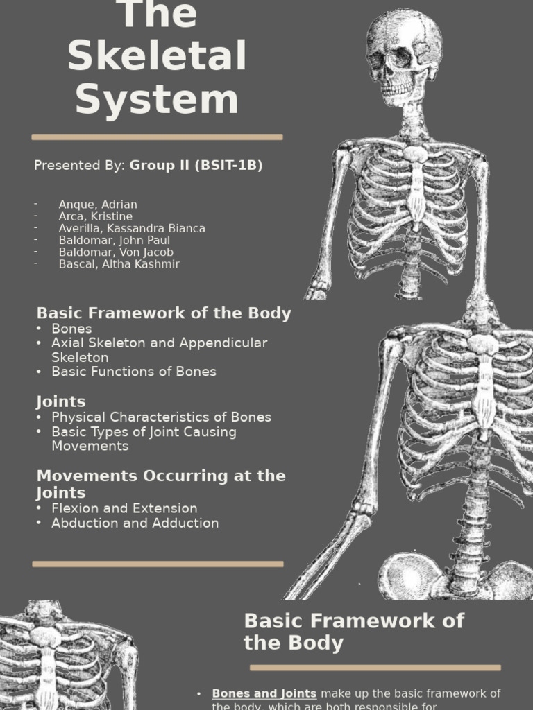 Overview of the Skeletal System | PDF | Anatomical Terms Of Motion ...
