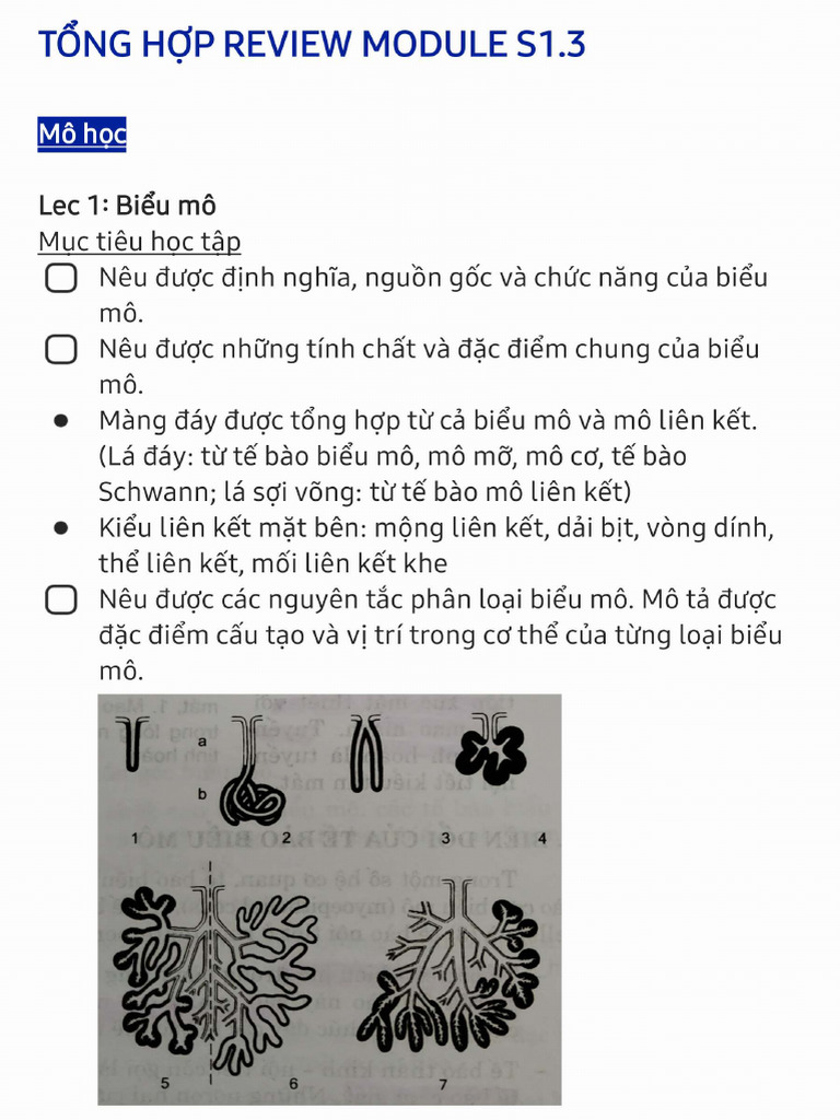 Tong Hop Review s13 Ma | PDF