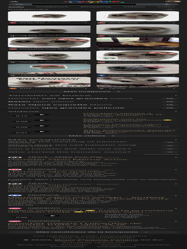 Hamster Ojon Meme - Buscar Con Google | PDF | Red de computadoras ...