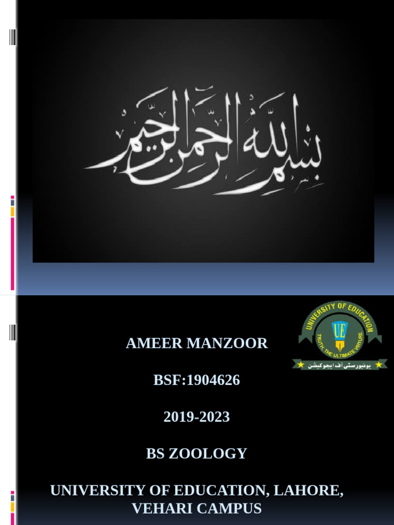 AMEER Thesis Presentation | PDF | Arsenic | Blood Plasma