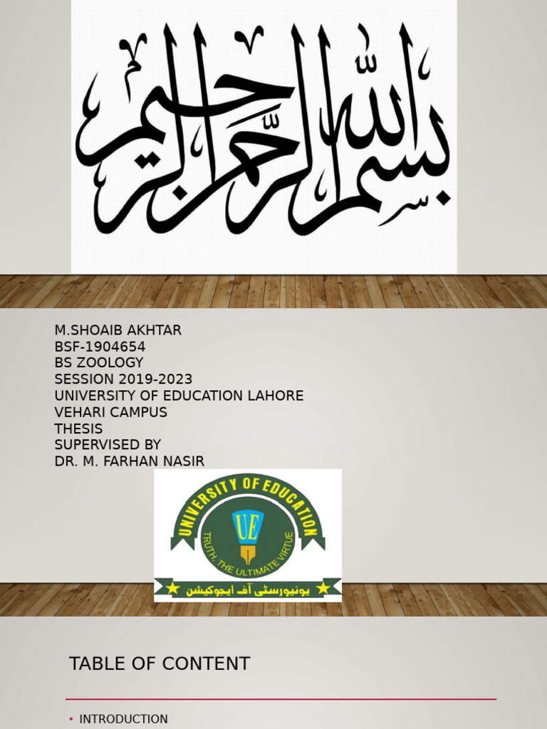 thesis presentation Shoaib | PDF