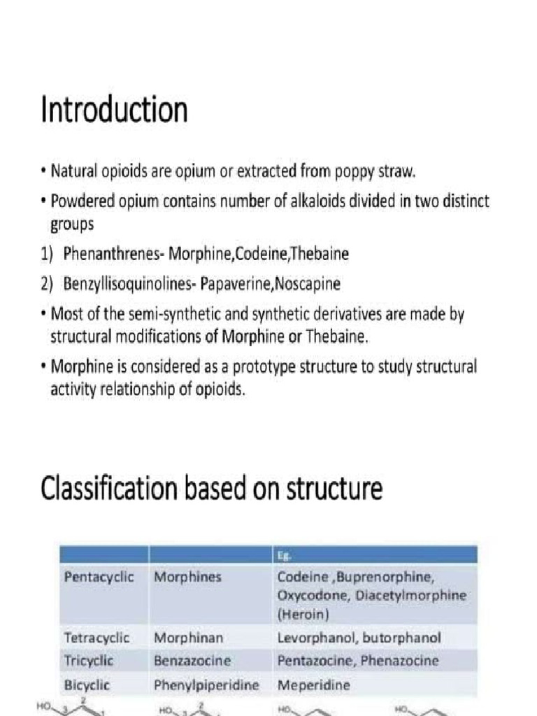 Morphine Chemistry | PDF